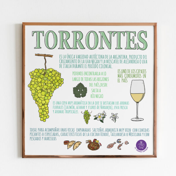 Lámina Torrontés – Dolores Lavaque